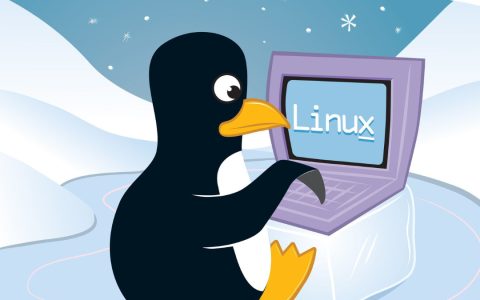 如何在 Linux 中使用 Bash wait 命令 - 主机说 HostingTalk